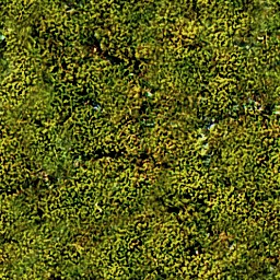 39. Extraterrestrial planet grass 2 texture (this texture must be ...